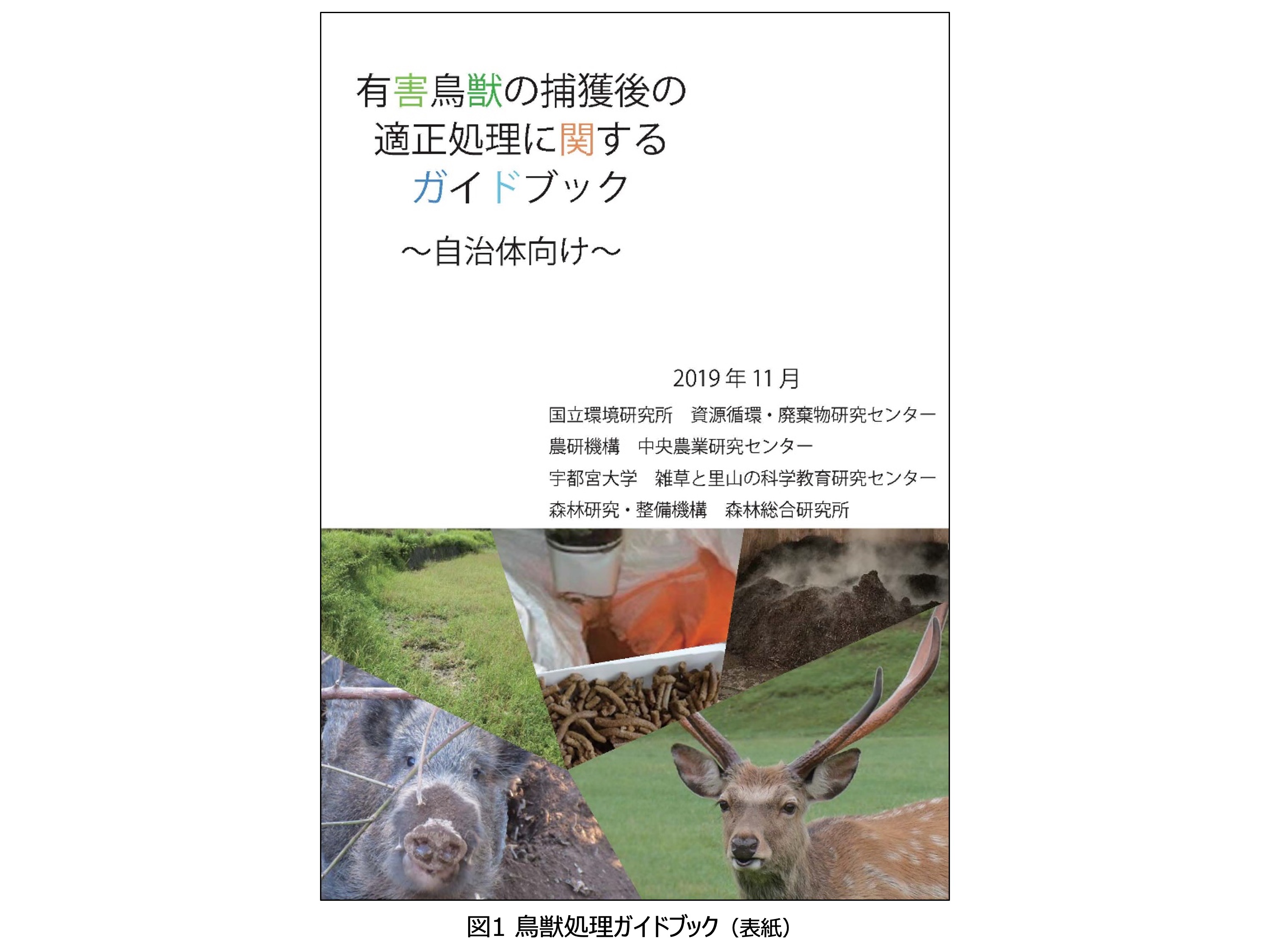 【技術者コラム】有害鳥獣の捕獲と適正処理 - 株式会社環境管理センター